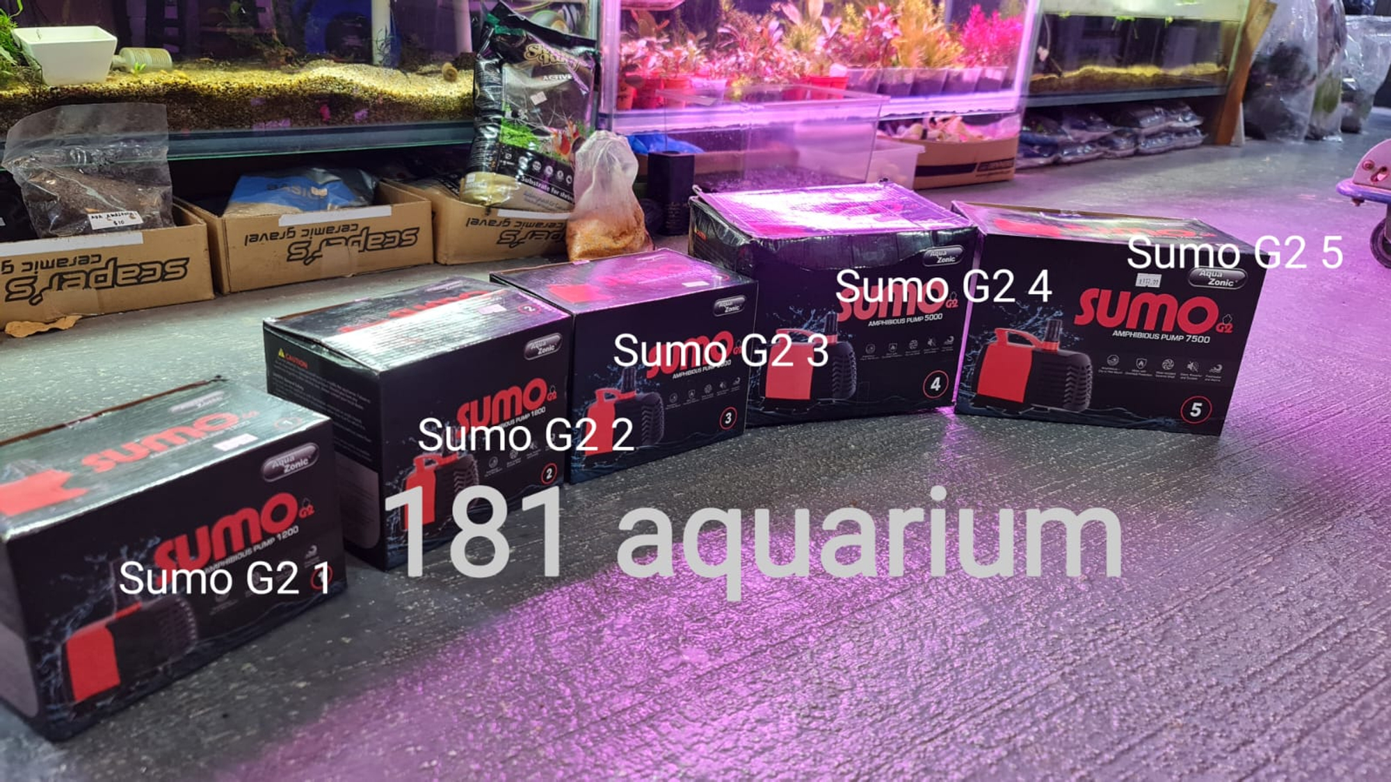 Buy AquaZonic® Sumo G2 (5) | The 181 Aquarium from Largest Online Aquarium Fish Store In Singapore