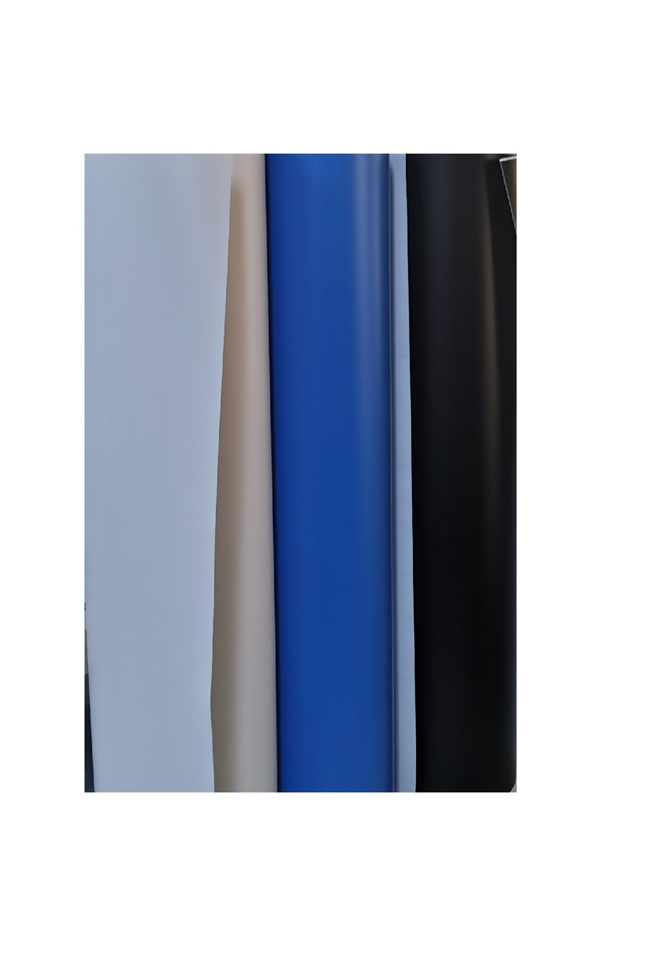 Buy OYAMA Wallpaper Sticker | Fish from Largest Online Aquarium Fish ...